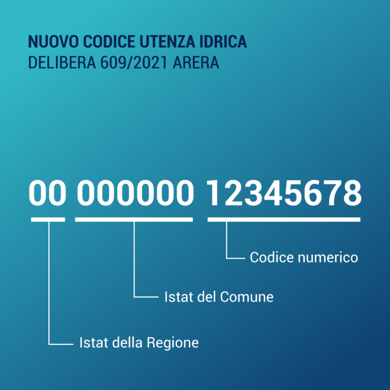 Servizio idrico: Codice identificativo unico e georeferenziato